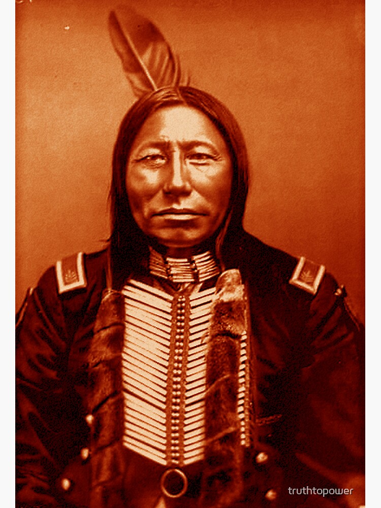 "Chief Crow King-The Sioux" Sticker for Sale by truthtopower | Redbubble