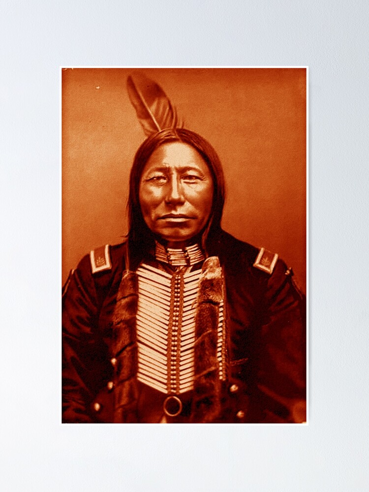 "Chief Crow King-The Sioux" Poster for Sale by truthtopower | Redbubble
