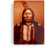 "Chief Crow King-The Sioux" Graphic T-Shirt Dresses by truthtopower ...