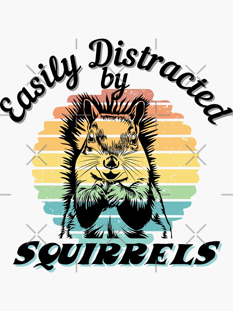 "Hold on I see a squirrel | Easily distracted by squirrels | Cute ...