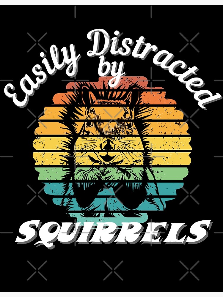 "Hold on I see a squirrel | Easily distracted by squirrels | Cute ...