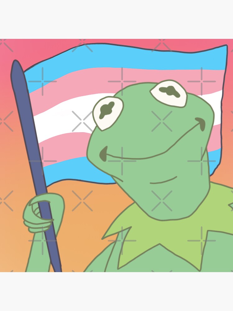 "Trans Frog Pride Flag" Sticker by GoetzRae | Redbubble