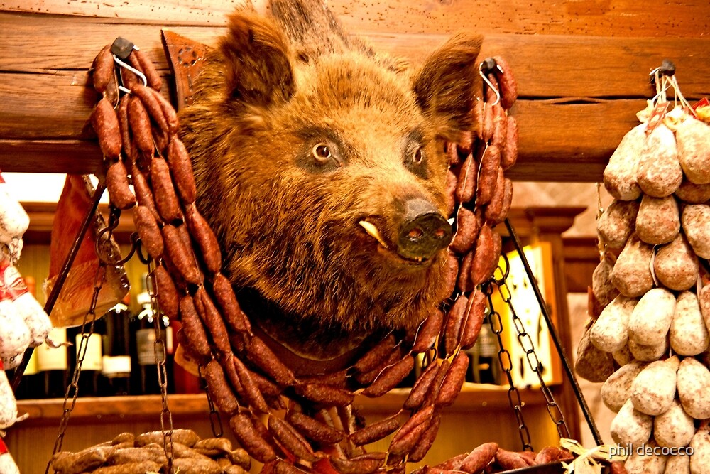 "Cinghiale Toscano" by phil decocco | Redbubble