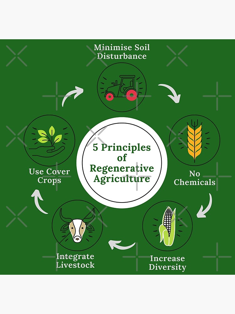 "5 Principles of Regenerative Agriculture - Save Our Soil - Reverse ...