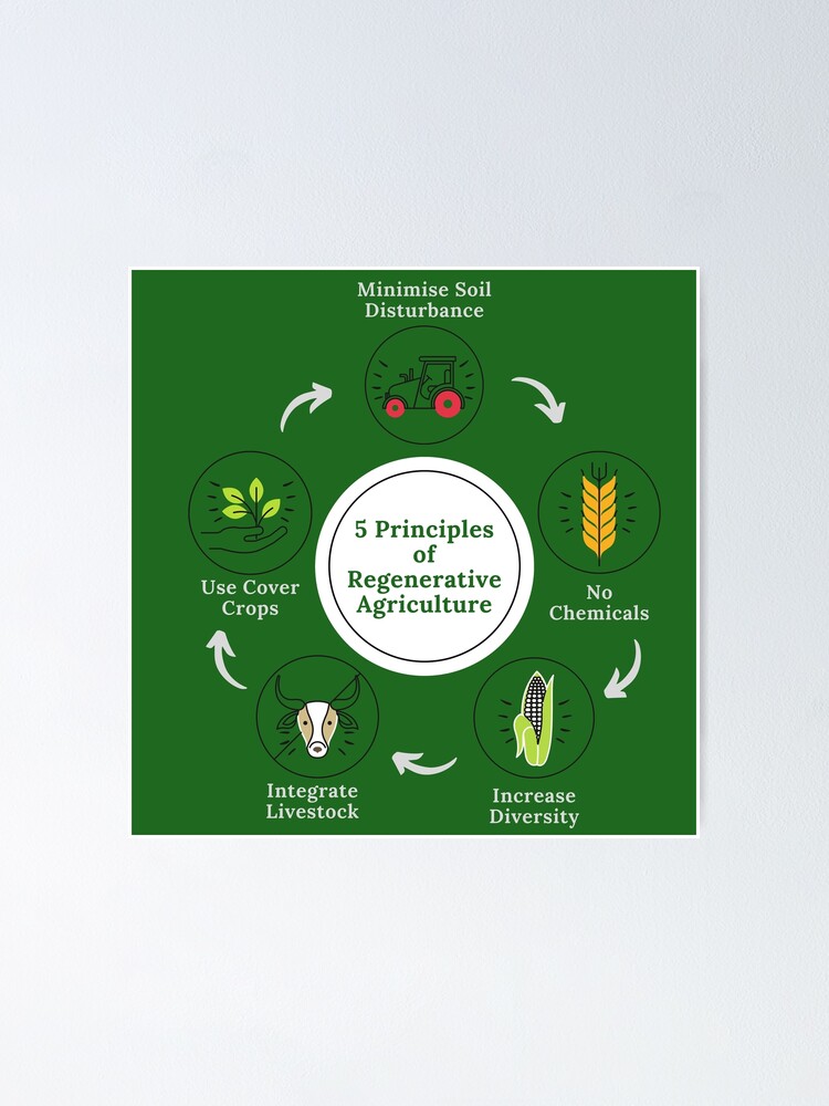 "5 Principles of Regenerative Agriculture - Save Our Soil - Reverse ...