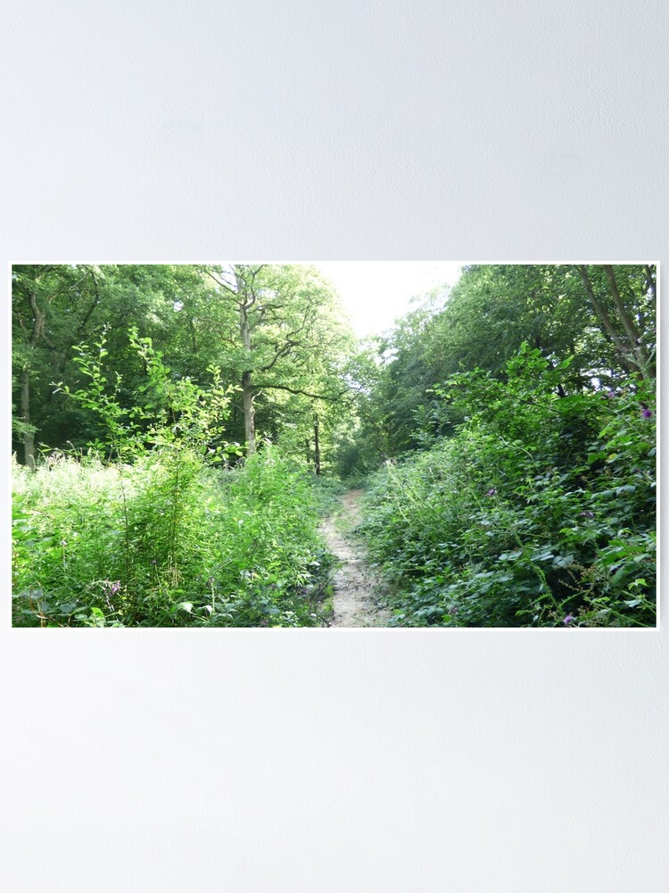 "The secret path." Poster for Sale by ProjectArtNow | Redbubble