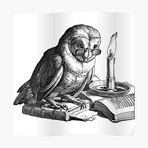 Póster «fan art del búho de la escuela» de Nasro-b | Redbubble