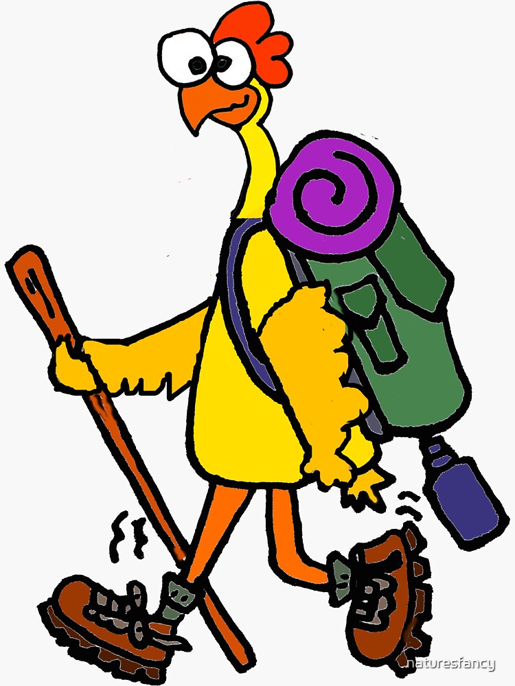 "Funny Rubber Chicken Hiking Cartoon" Sticker for Sale by naturesfancy ...