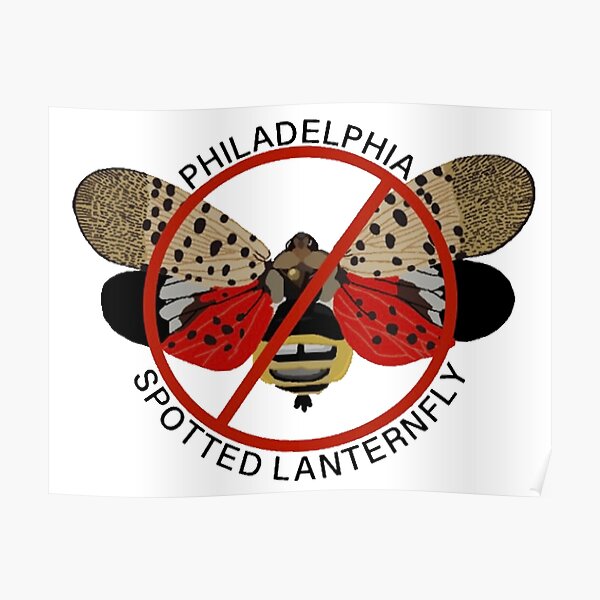 "Spotted Lanternfly" Poster by radiantdark | Redbubble