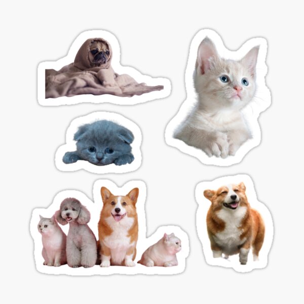 "Cute cat and dog combo pack" Sticker for Sale by Aesthetlia | Redbubble