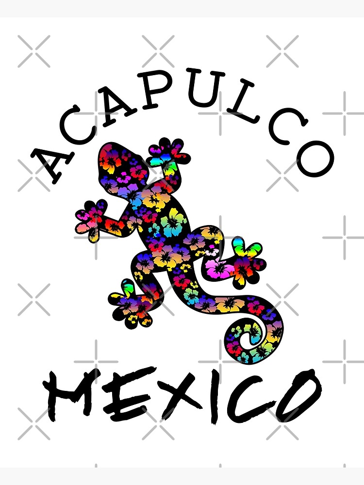 "ACAPULCO MEXICO LIZARD GECKO TROPICAL HIBISCUS FLOWER COLORFUL RAINBOW ...