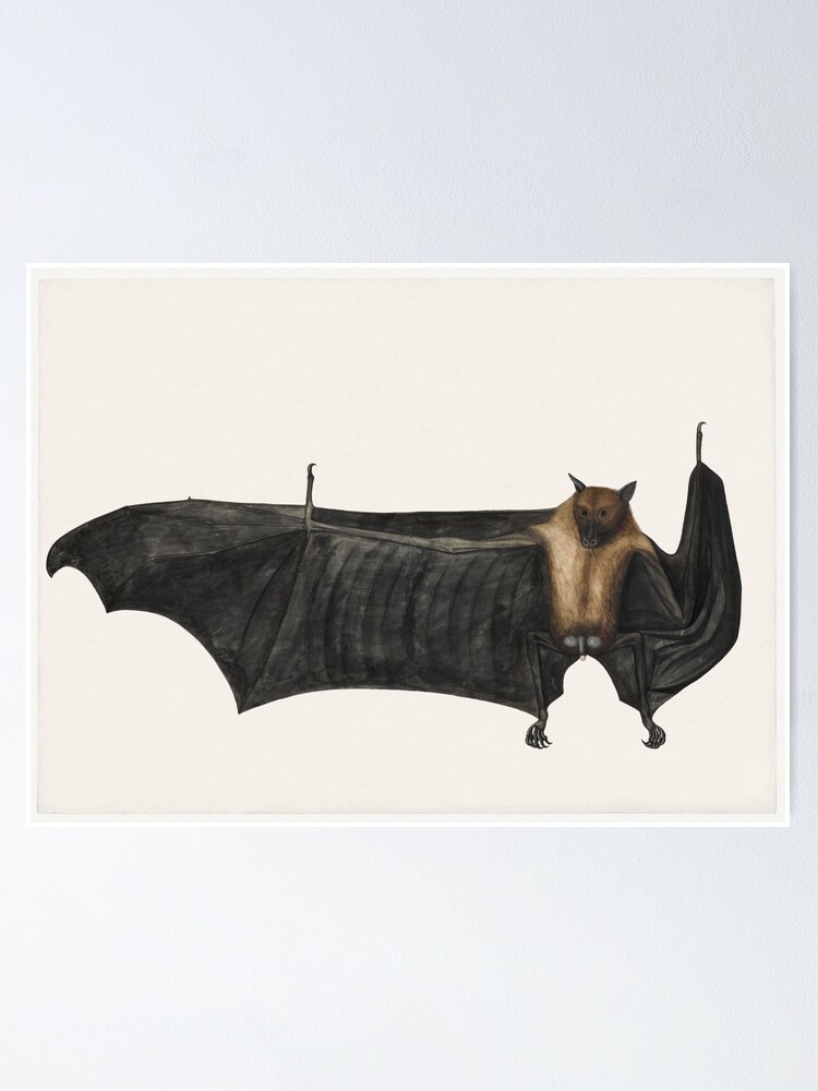 "The Bat " Poster by SoulCyber | Redbubble