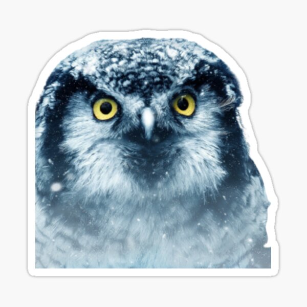 "Owl " Sticker for Sale by Heritage2307 | Redbubble