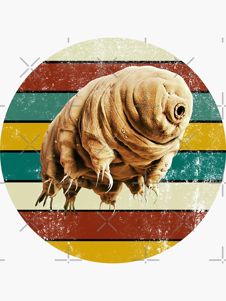 "Retro Tardigrade Design Vintage Retro Style Draw Gift" Sticker by ...