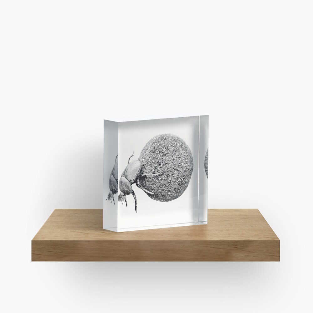 "Dung Beetle Rolling Dung Ball African Wildlife" Art Board Print for ...