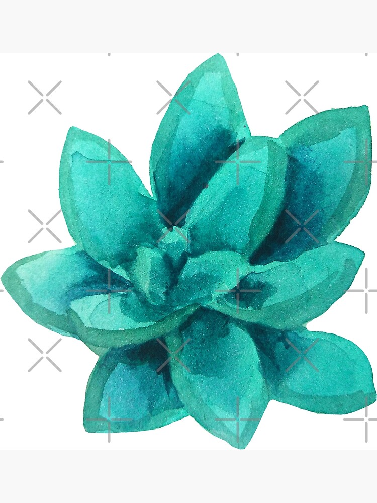 "watercolour turquoise succulent plant 2" Poster by ListerMedia | Redbubble