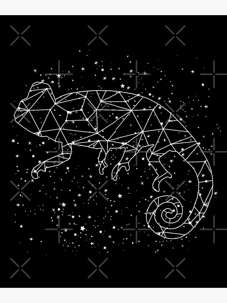 Chameleon zodiac sign - Horoscopeaz.com