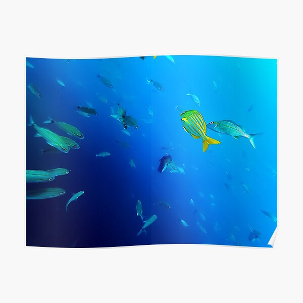 "Deep Sea" Poster for Sale by NecoArts | Redbubble