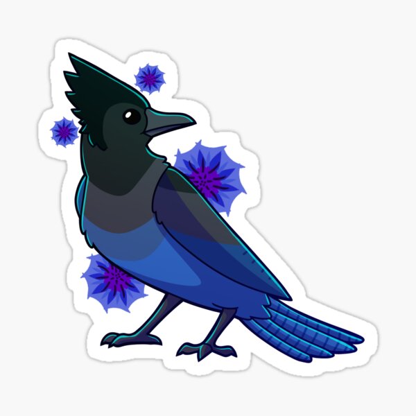 "stellars jay sticker and pin" Sticker for Sale by HenriettaHen | Redbubble