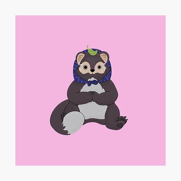 "Bake-Danuki | Tanuki | Genshin Impact Inazuma | Fan Art" Photographic ...