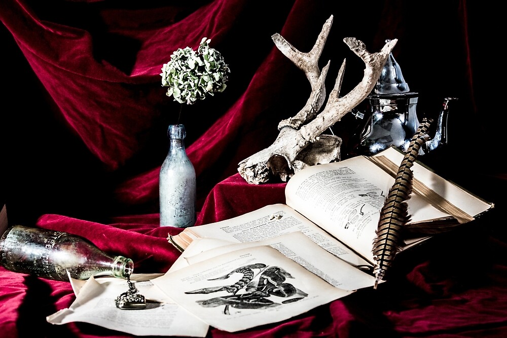 "Vanatas" by Photosforfun | Redbubble