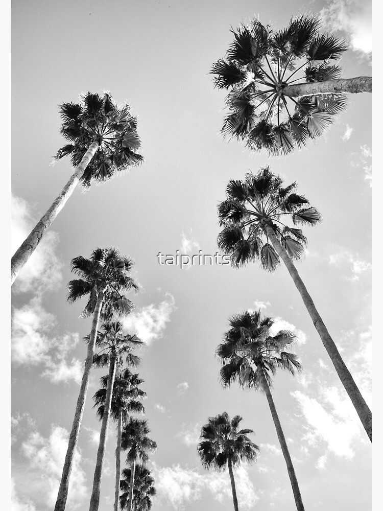 "California palm trees" Art Print by taiprints | Redbubble