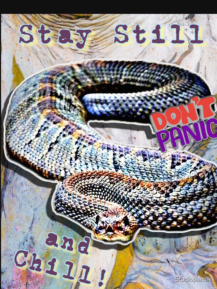 "Stay Still and Chill - Saying with a Snake" T-shirt for Sale by ...