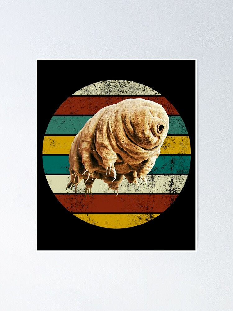 "Retro Tardigrade Design Vintage Retro Style Draw Gift" Poster for Sale ...