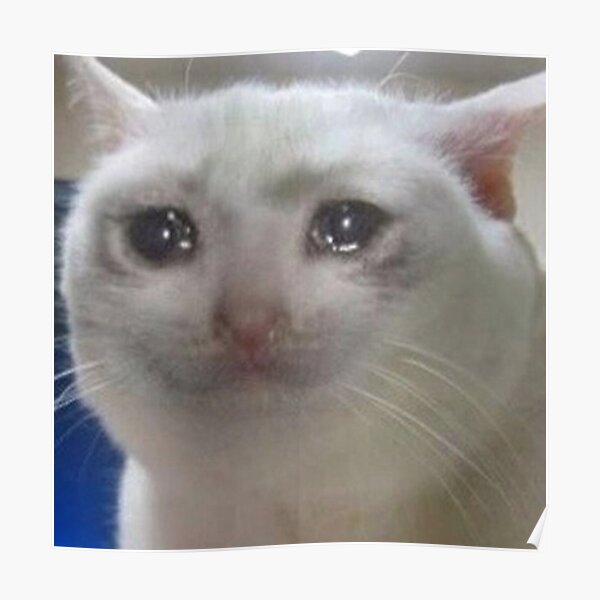 "Sad Cat meme" Poster by Nagjin | Redbubble