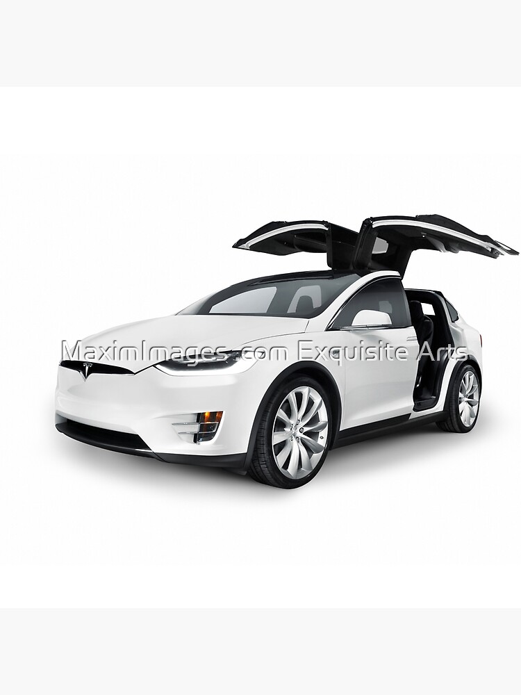 Tesla suv wing doors store