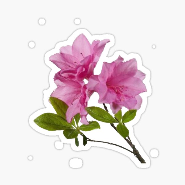 "Pink Flowers" Sticker for Sale by jofices | Redbubble