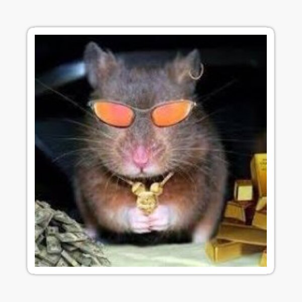 "Bandit rat" Sticker for Sale by Lucas-Bueno | Redbubble