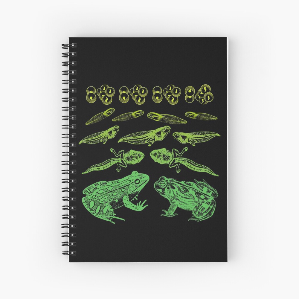 "Frog Tadpole Life Cycle Biology Teacher Vintage Science - Nature ...