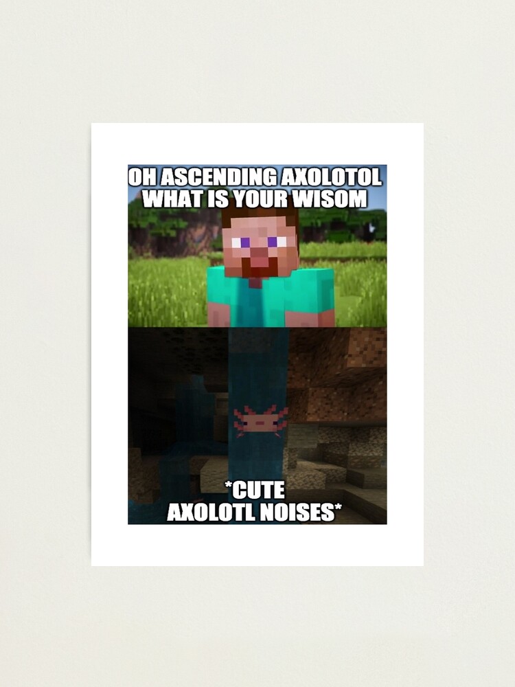 " Minecraft Axolotl Memes Gift Idea For Minecraft & Axolotl Lovers ...
