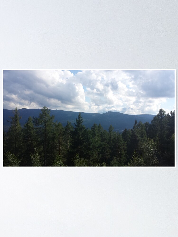 "Into the forest" Poster for Sale by lissydeichcrab | Redbubble