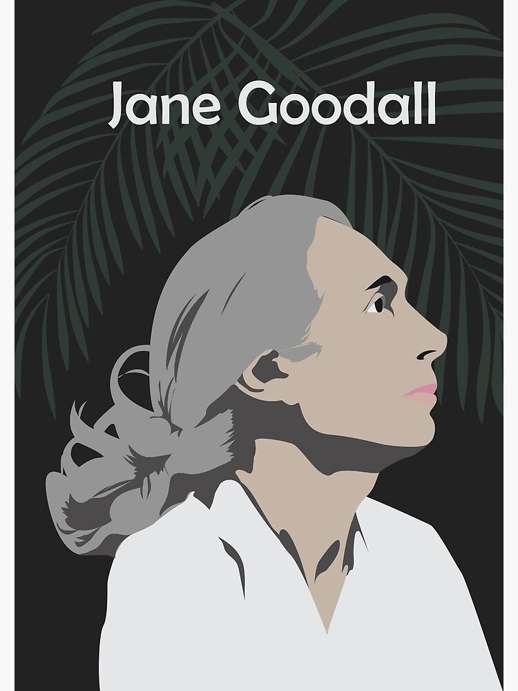 Lámina artística «Jane Goodall Poster Art Chimpanzee, científico ...