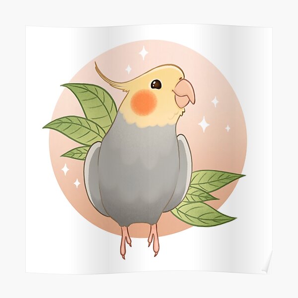 "Smiling Cockatiel " Poster for Sale by Shanman-Art | Redbubble