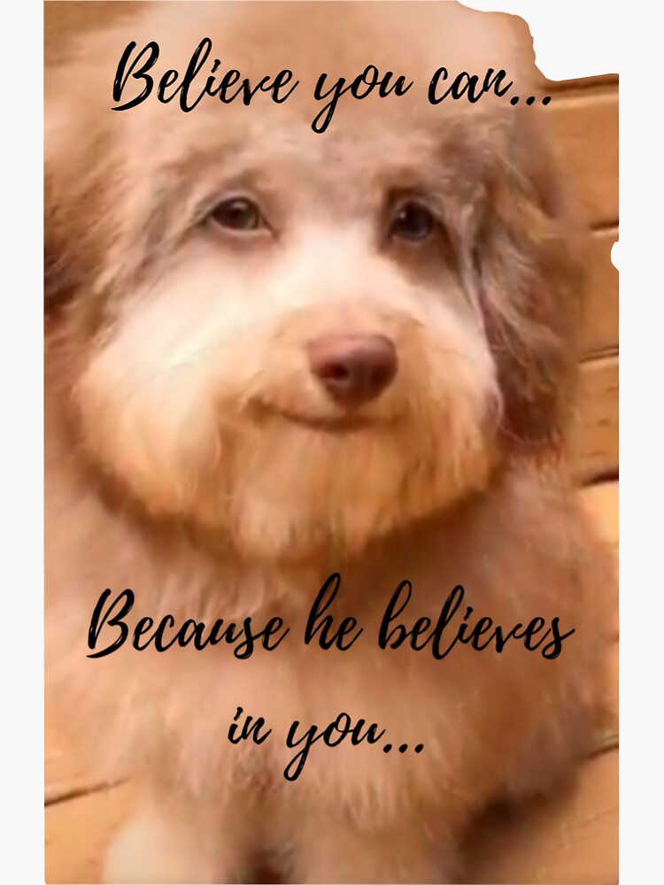 "Motivational Smiling Dog - Believe you can, Because he believes in you ...