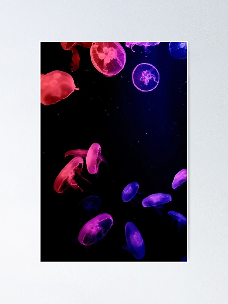 "jellyfish" Poster for Sale by Svlgsm | Redbubble