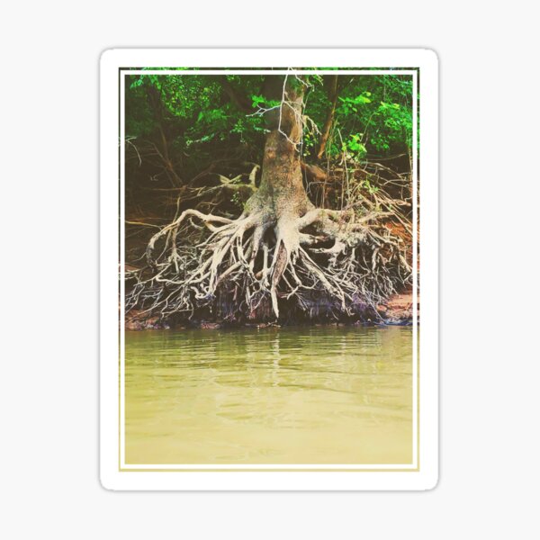 "Rooted deep" Sticker by Bravosfarm | Redbubble