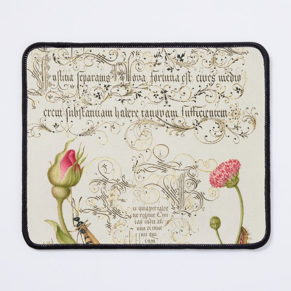 "Wainscot, French Rose, Wasplike Insect, English Daisy, and Caterpillar ...