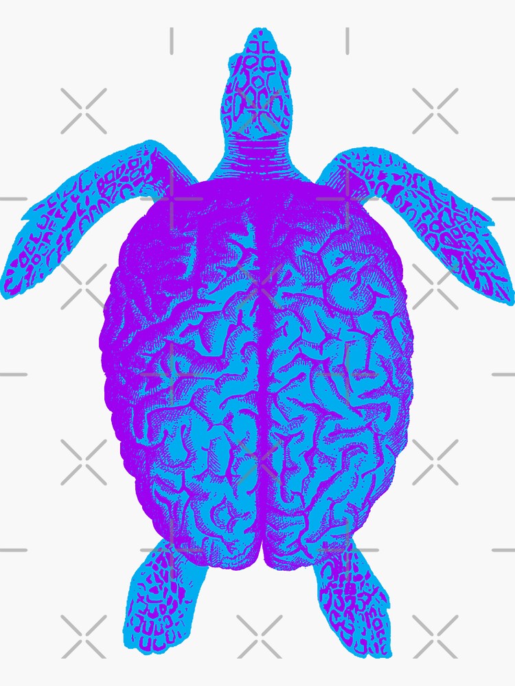 "Psychedelic Turtle Brain" Sticker by monsterplanet | Redbubble