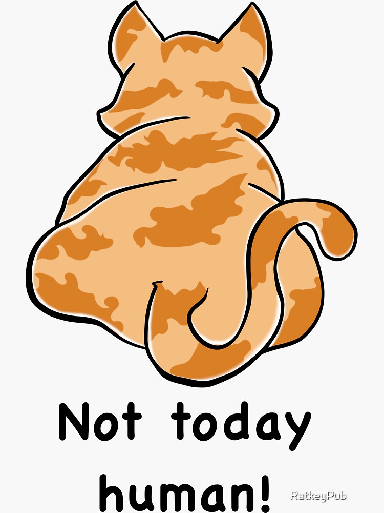 "Not Today Human: Fire Version" Sticker for Sale by RatkeyPub | Redbubble