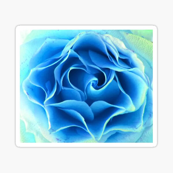 "Light Blue Rose" Sticker for Sale by KristinRyan5 | Redbubble