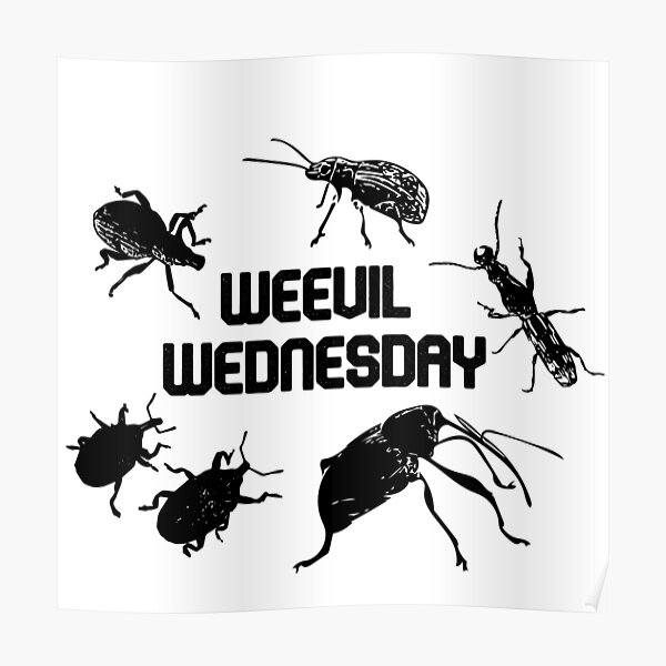 "Weevil Wednesday " Poster for Sale by ArthroArchives | Redbubble