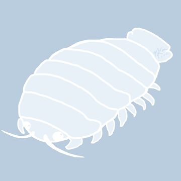 "Roly Poly Isopod Buddy" Sticker for Sale by nicoledesigns | Redbubble