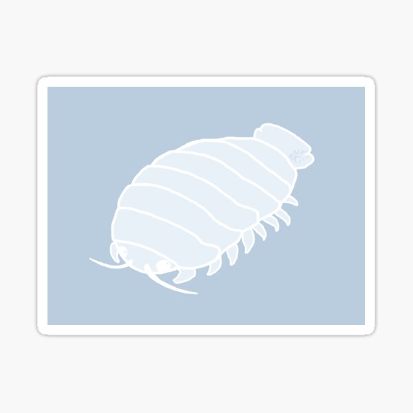 "Roly Poly Isopod Buddy" Sticker for Sale by nicoledesigns | Redbubble