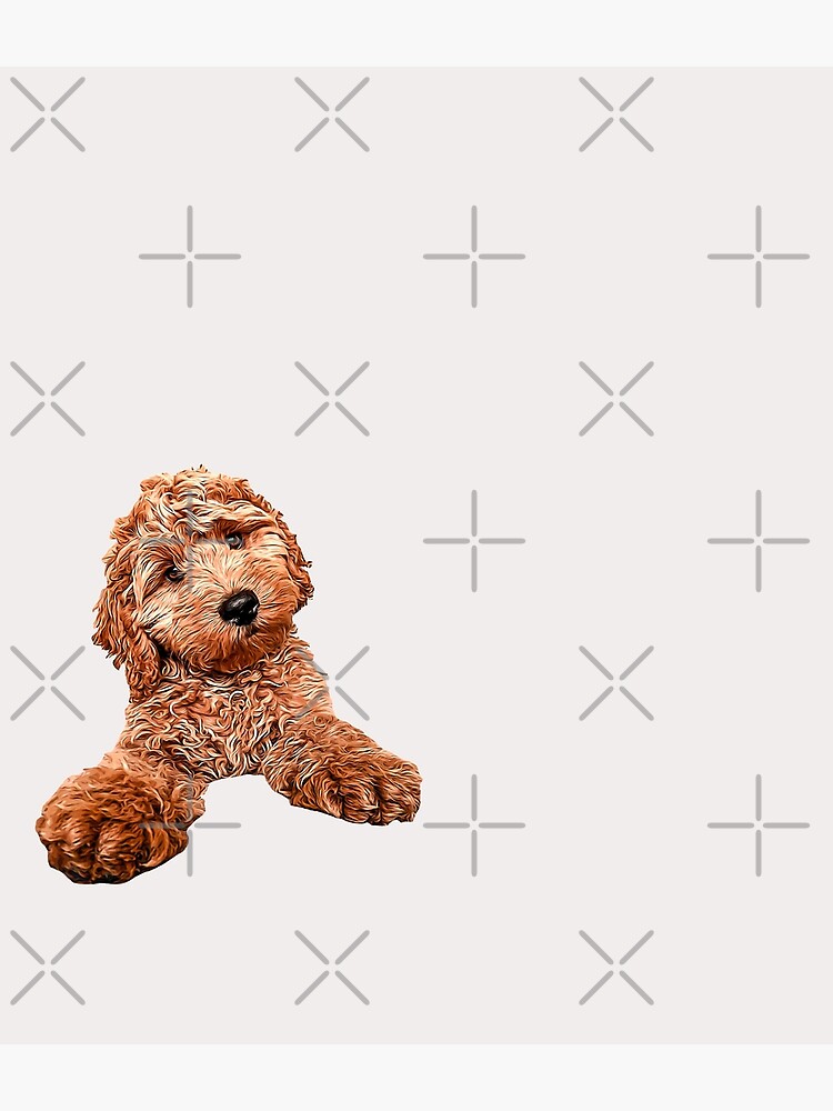 Cavapoo Labradoodle Goldendoodle Poodle Mix Backpack