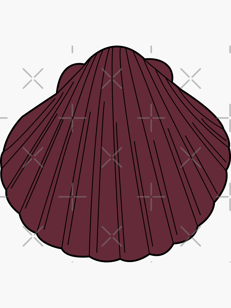 "Clams Shell Seashells" Sticker for Sale by idovedesign | Redbubble
