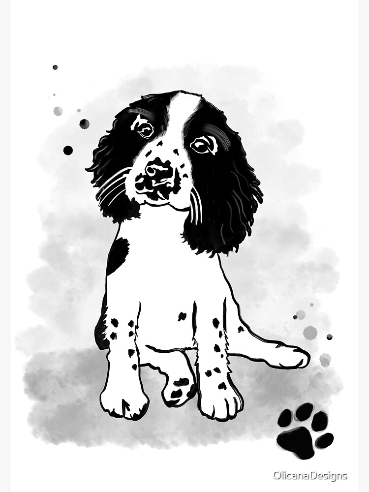 "Sprocker spaniel dog breed art for dog owners" Sticker for Sale by ...
